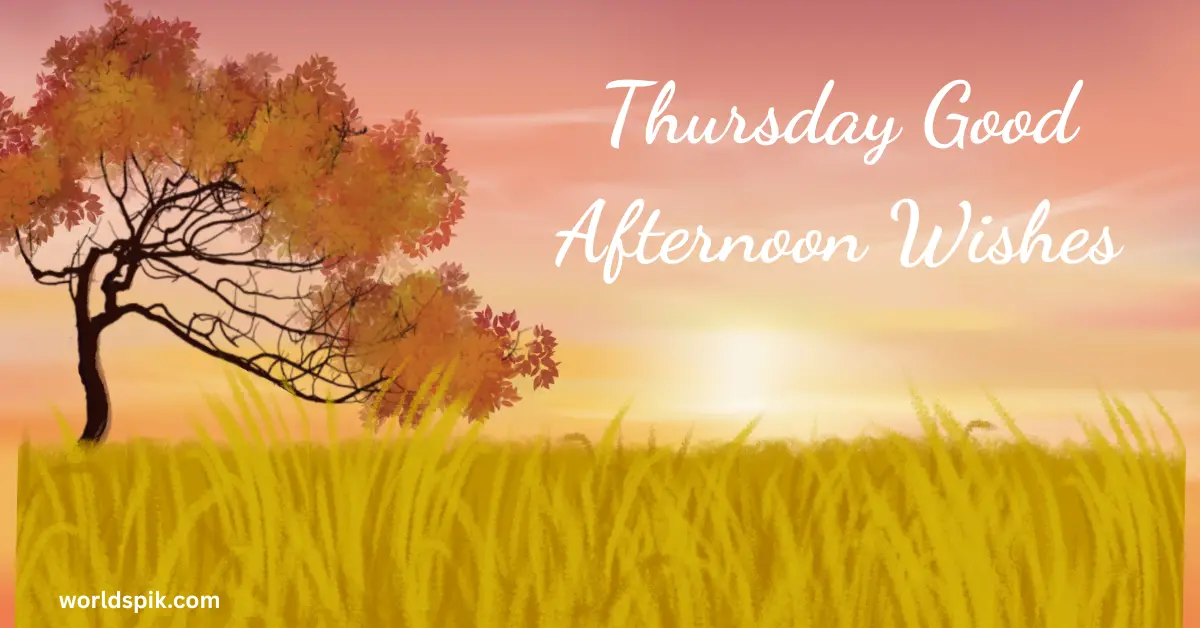 150 Thursday Good Afternoon Wishes to Brighten Someone’s Day